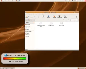 ATI Open vs. Closed-Source AIGLX Performance - Phoronix