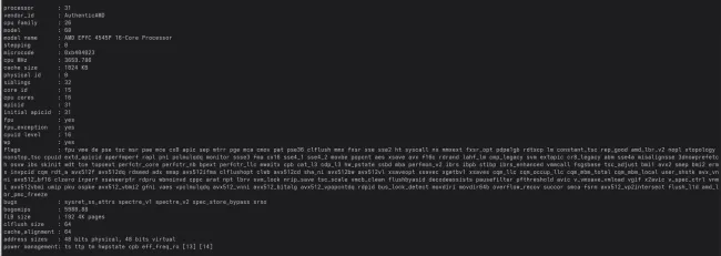 AMD EPYC 4545P: 16 Zen 5 Cores @ 65 Watts For Low-Power / Energy ...