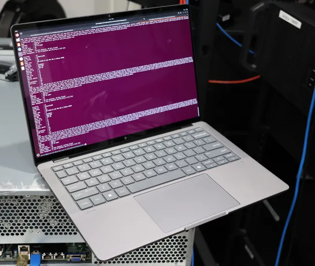 AMD Ryzen AI Max 390 Performance - 12-Core Strix Halo Review - Phoronix