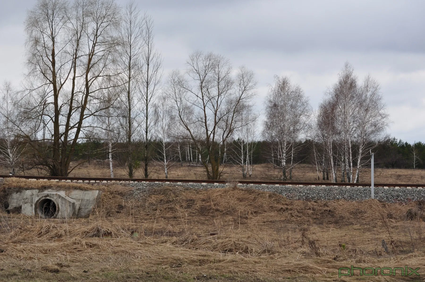 [Phoronix] Touring Chernobyl In 2010: Radioactive Red Forest