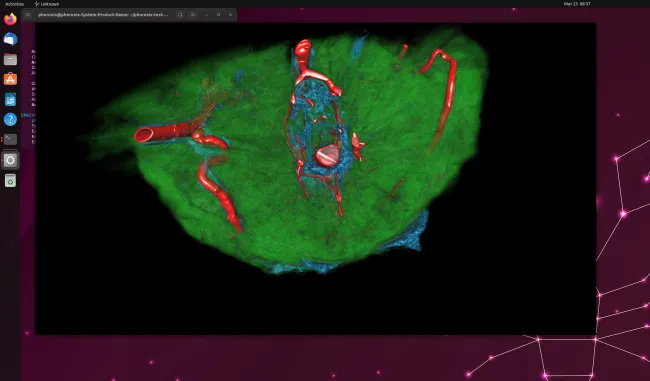 Intel Arc Graphics Show Good Potential For Linux Workstation OpenGL Performance - Phoronix