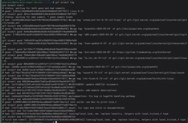 Linux 6.15 Git Tanked Nginx HTTPS Web Server Performance - Here's The Bisect Review - Phoronix